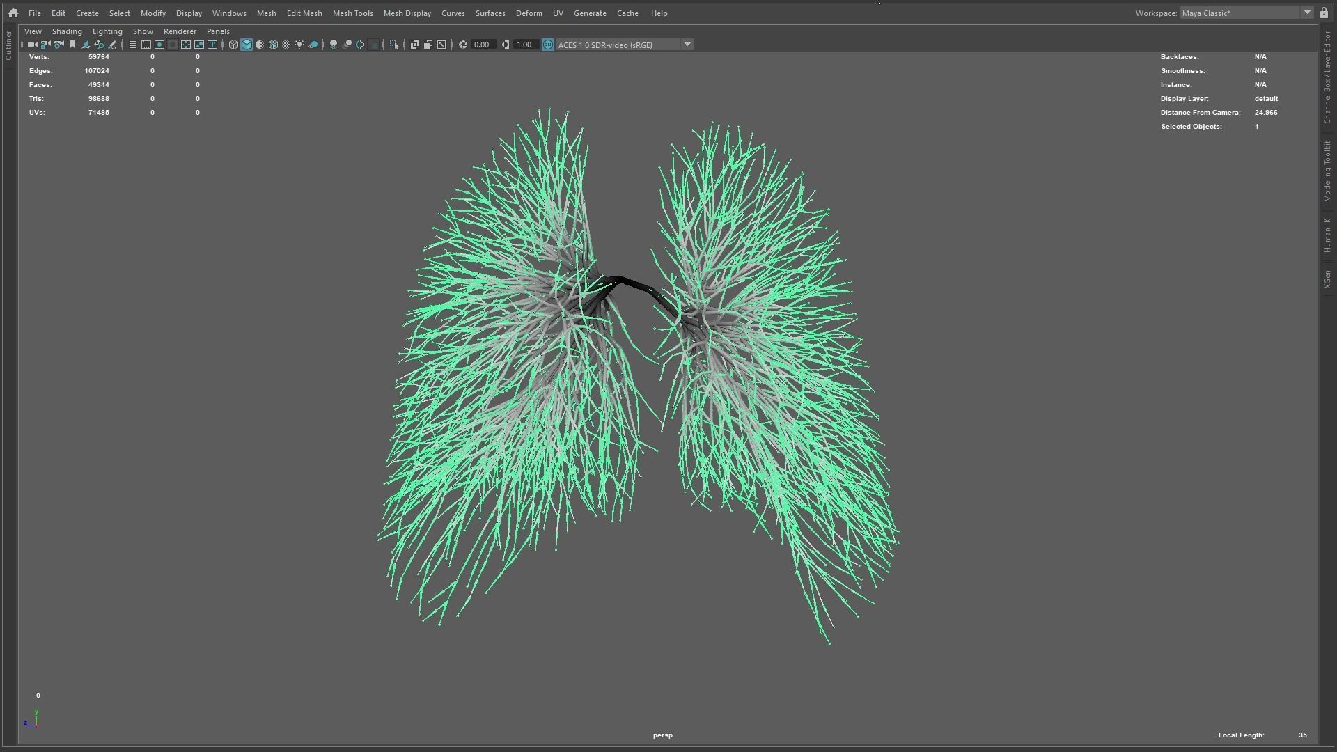 Human lungs made out of lines Unrolling growing animation 3D model ...