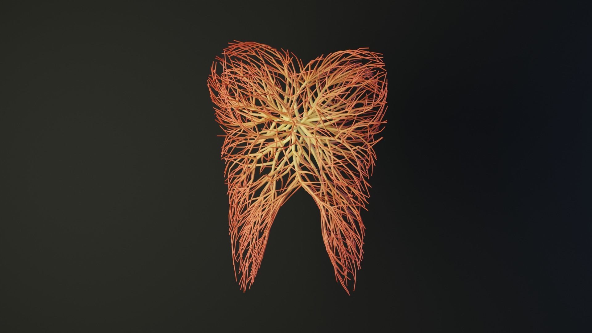 Human tooth made out of lines Unrolling growing animation 3D model ...