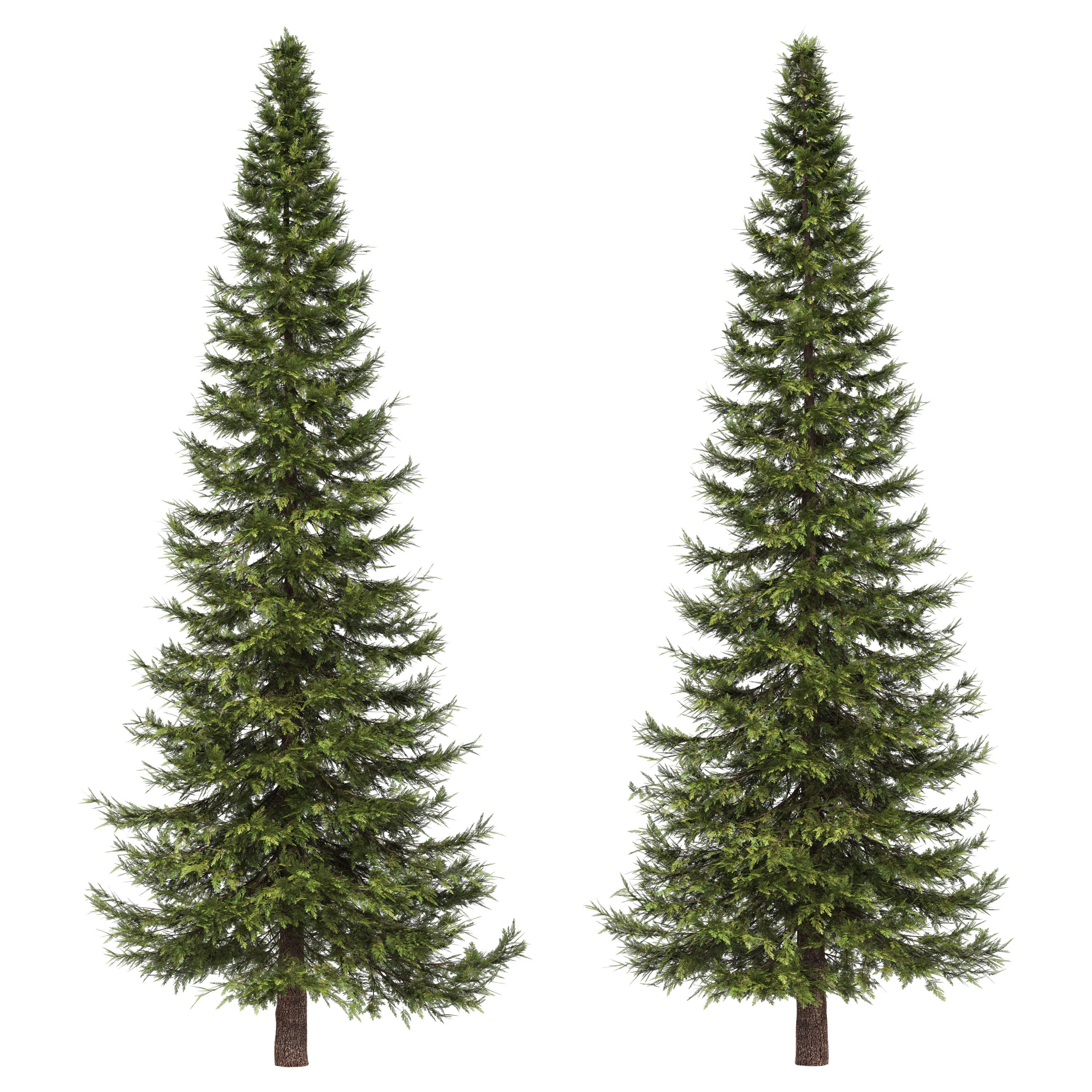 Land scape tree 1 3D model | CGTrader