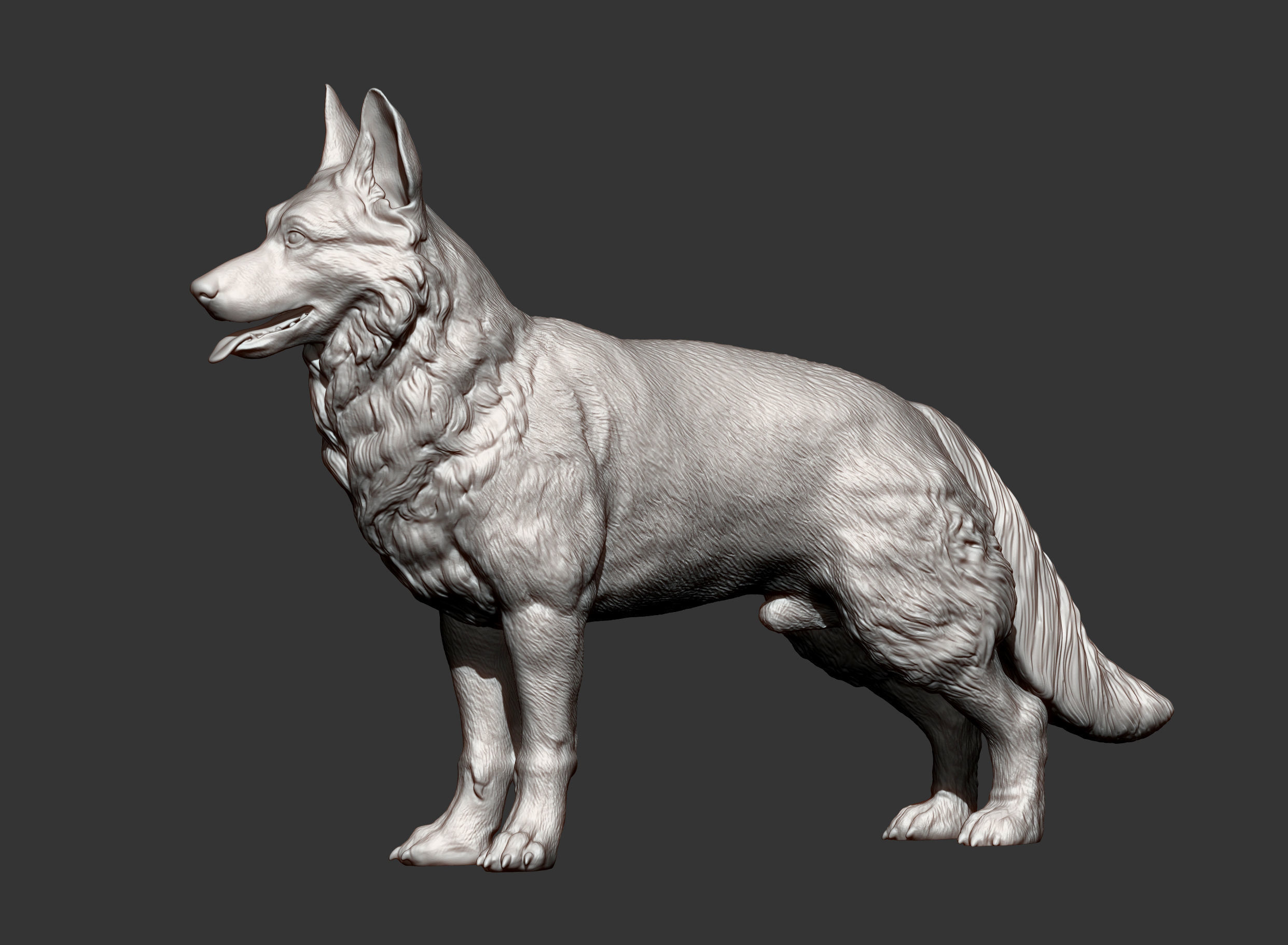 German Shepherd 3D model 3D printable | CGTrader