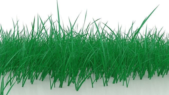 3D model Animated Patch of Grass VR / AR / low-poly | CGTrader