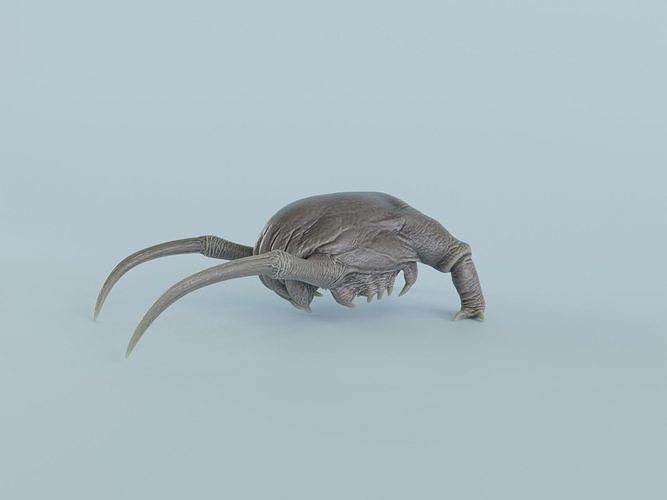 Headcrab Half-Life 3D model 3D printable | CGTrader