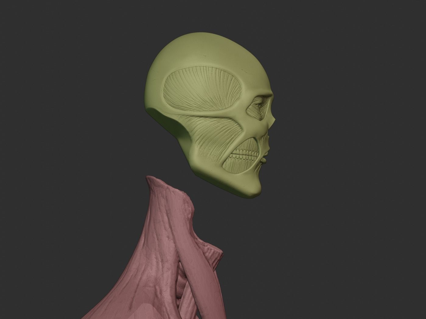 Colossal Titan Armin 3D model 3D printable | CGTrader