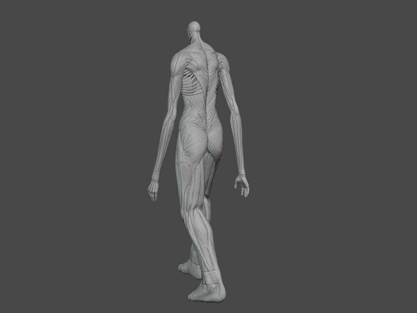 Colossal Titan Armin 3D model 3D printable | CGTrader