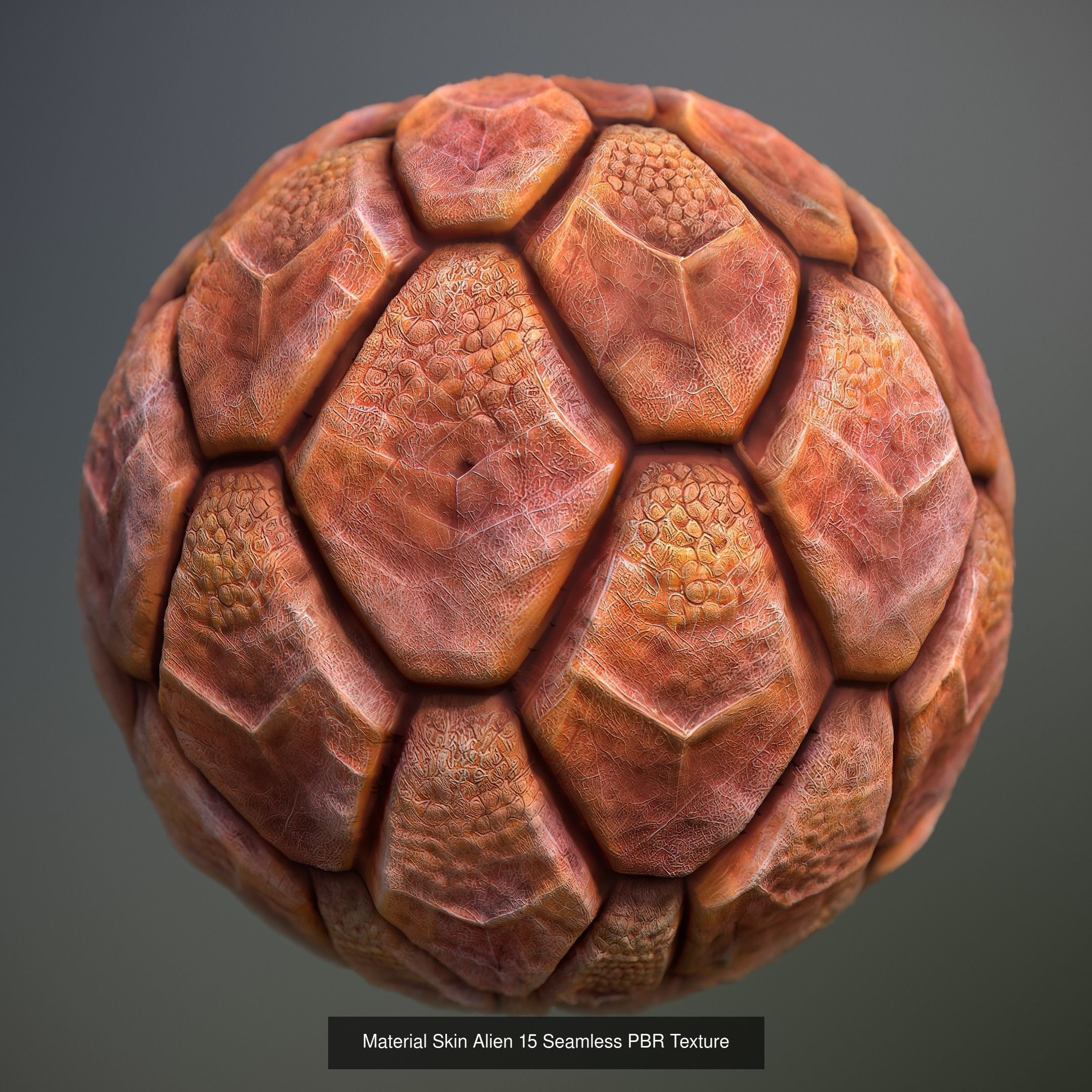 30 Materials Skin Alien Seamless PBR Bundle 1 3D Model Collection ...