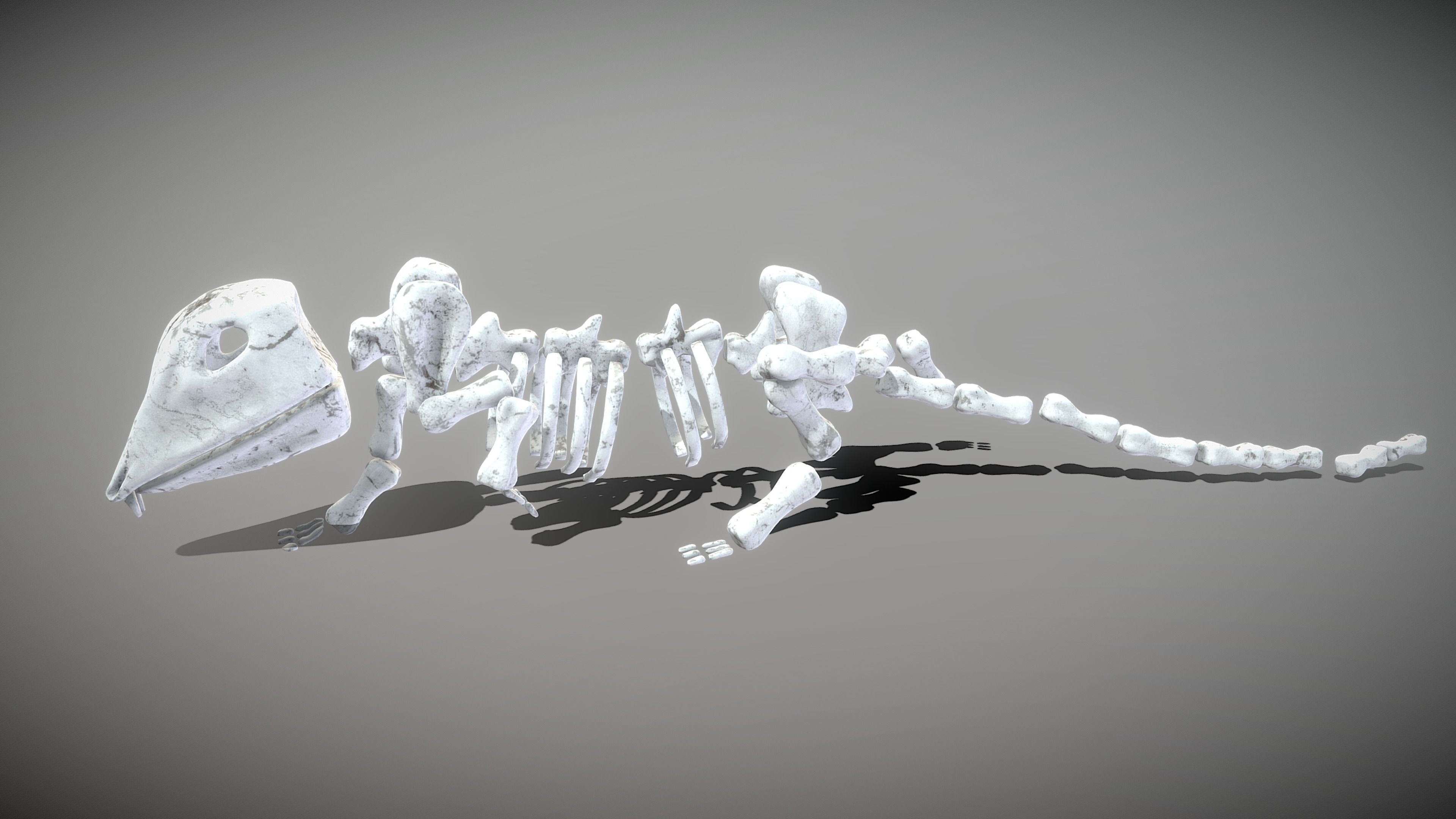 3d Model Mouse Skeleton Vr Ar Low Poly Rigged Animated Cgtrader
