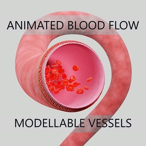 3D model Blood vessels photorealistic animated modellable low-poly 3D ...