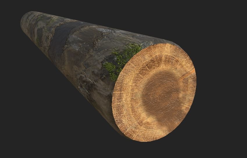 Tree Log - low poly 3D model | CGTrader