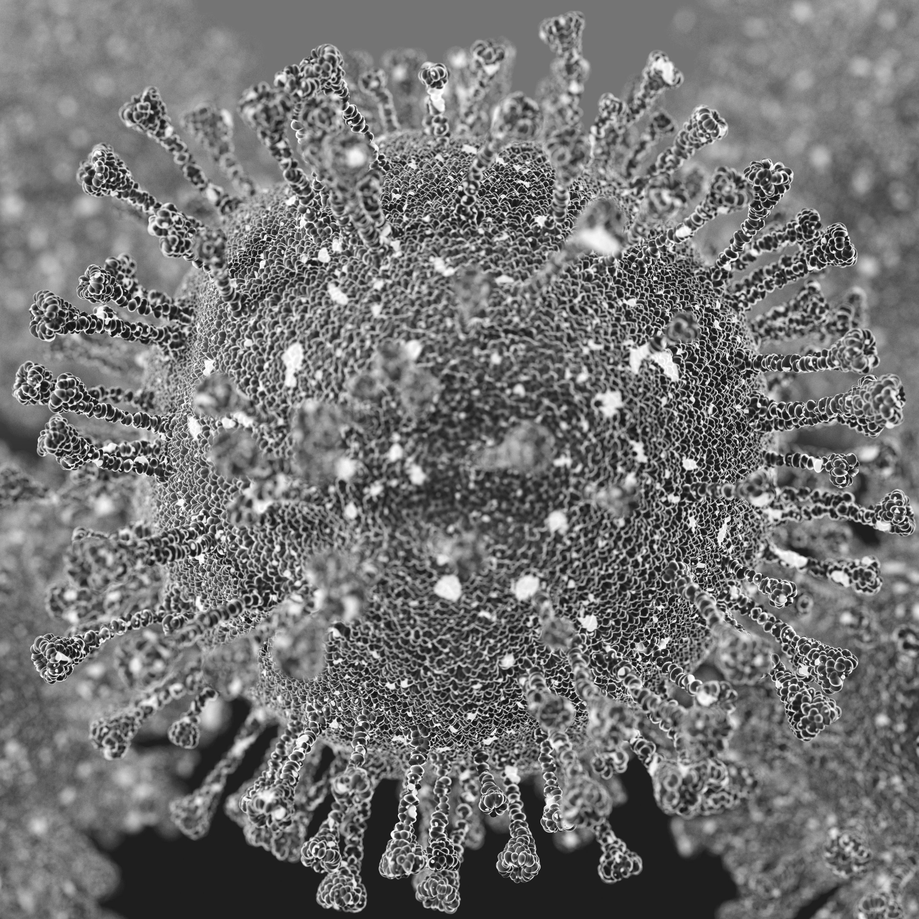 3D model Coronavirus 2019-nCoV Electron Microscopy free 3D model | CGTrader