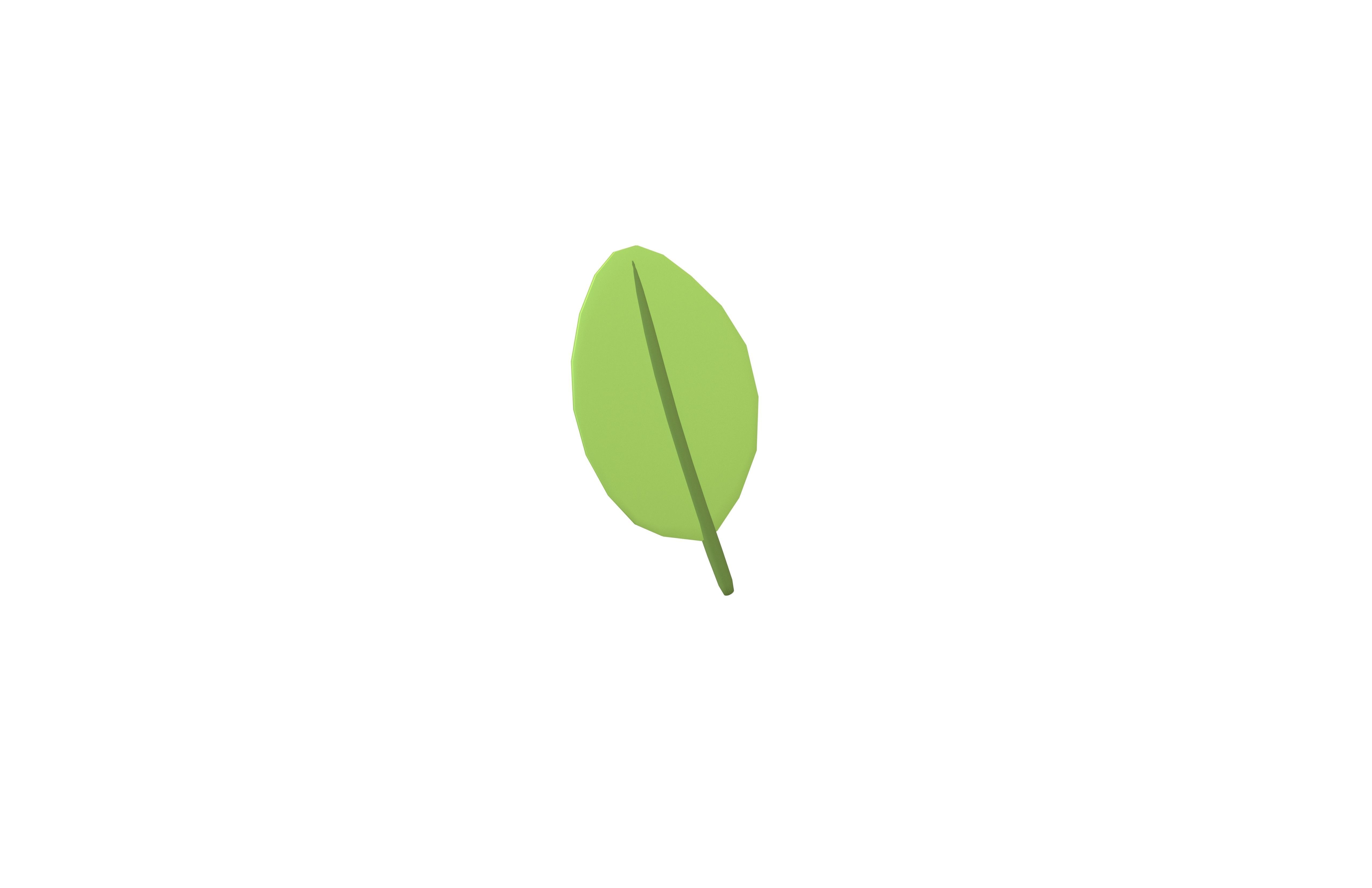 3D model Cartoon Leaf v7 001 VR / AR / low-poly | CGTrader