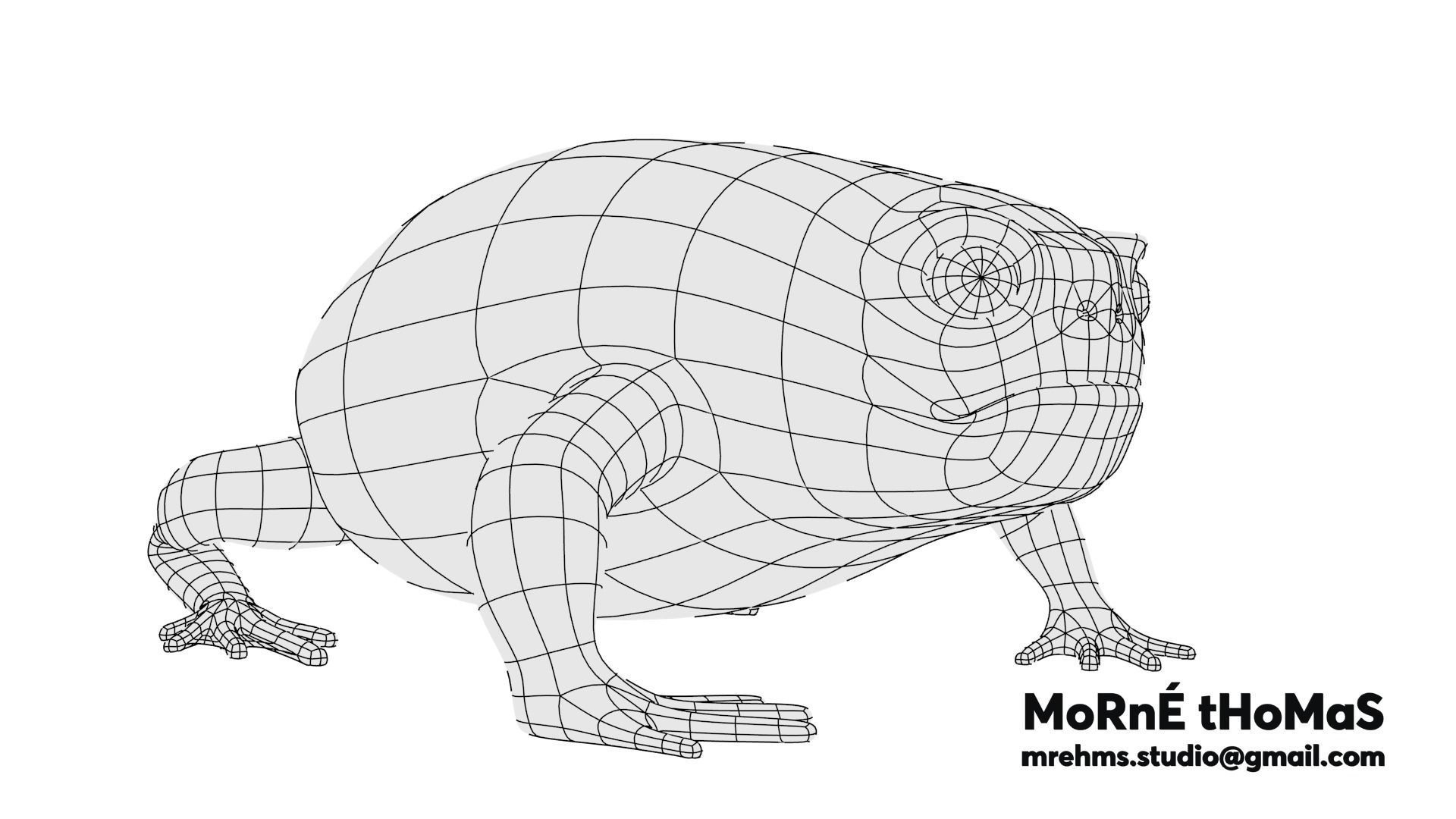 Cape Rain Frog free 3D model animated rigged | CGTrader