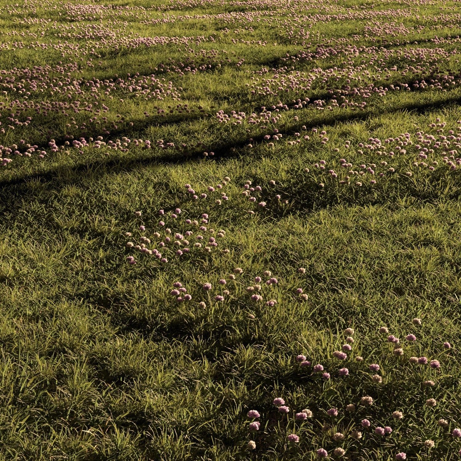 Grass and clover plantation 3D model | CGTrader