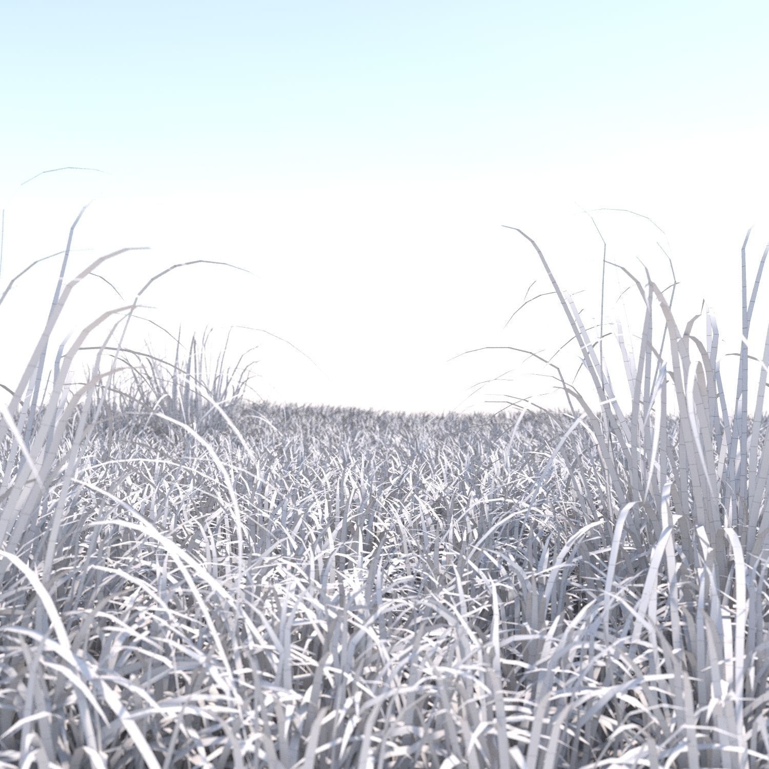 Simple Grass Model free 3D model | CGTrader