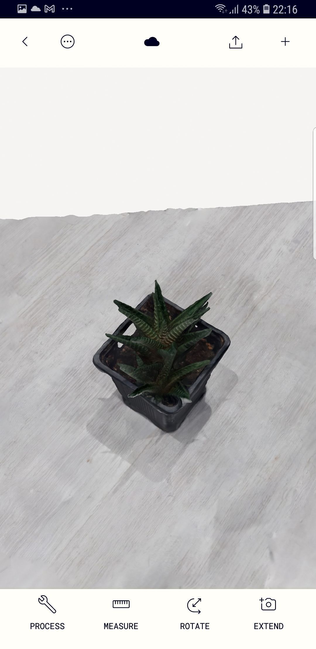 small potted plant 3d scan 3D model | CGTrader