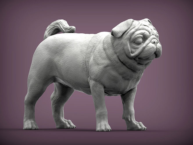 Pug for 3D printing 3D model 3D printable | CGTrader