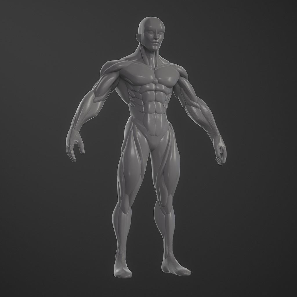 Basebody for Sculpting 3D model | CGTrader