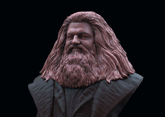 Rubeus Hagrid Bust 3d Model 3d Printable Cgtrader
