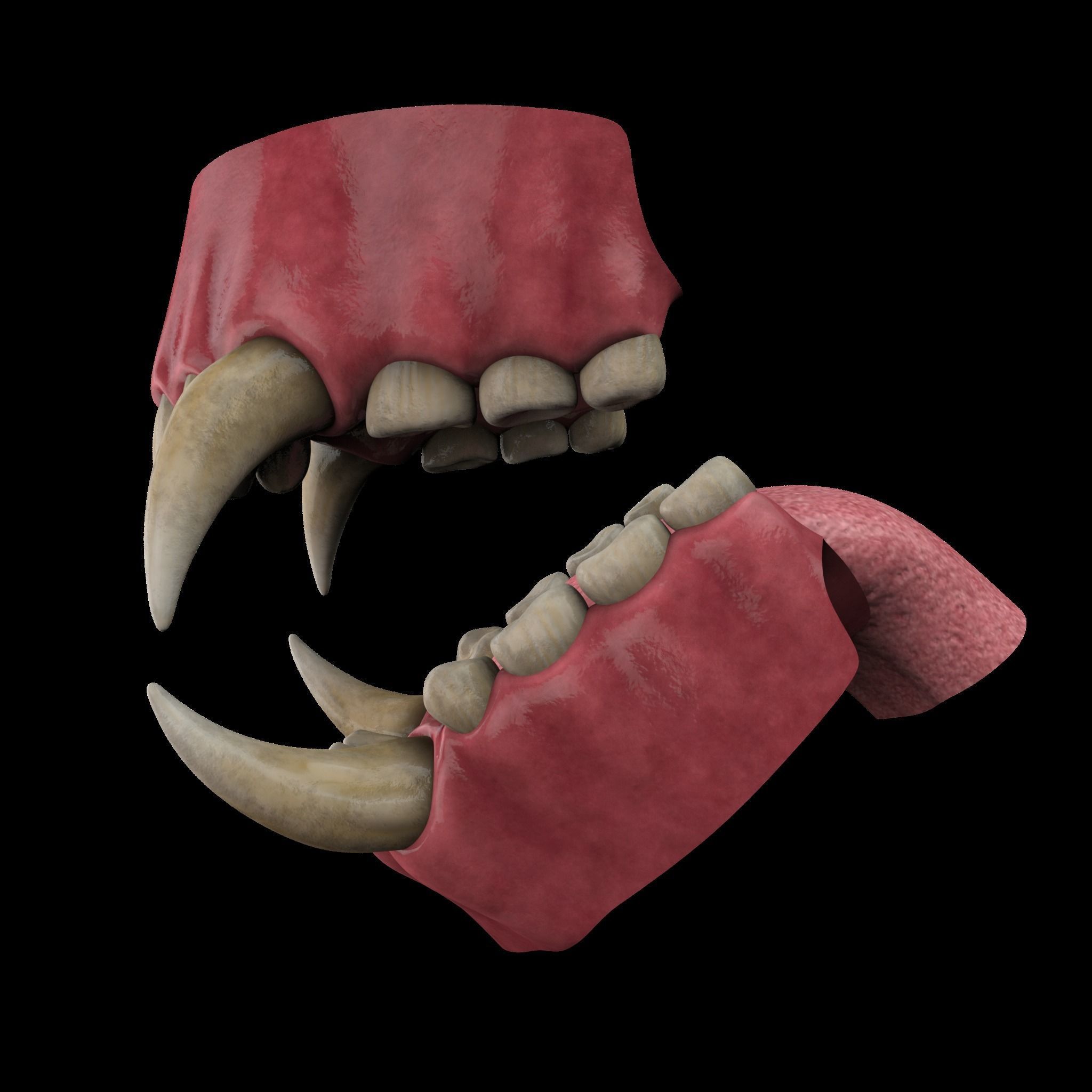 Orc Teeth 3D model | CGTrader