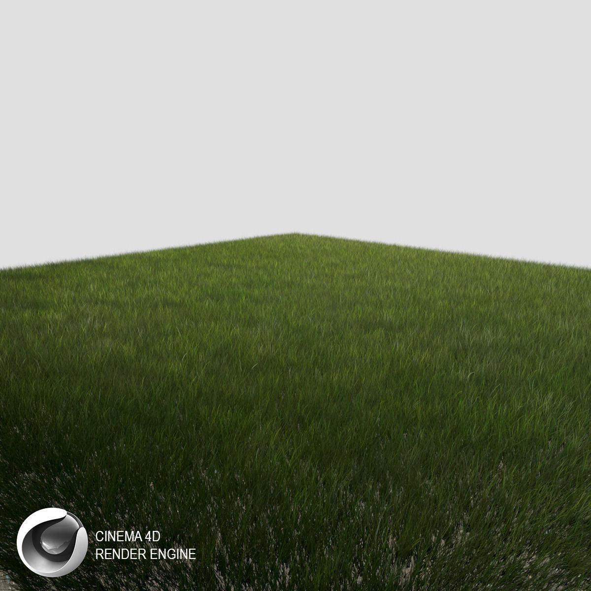 Dynamic Grass 3 3D model animated | CGTrader