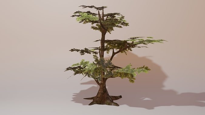 tree PBR uvs for enviroment free VR / AR / low-poly 3D model | CGTrader