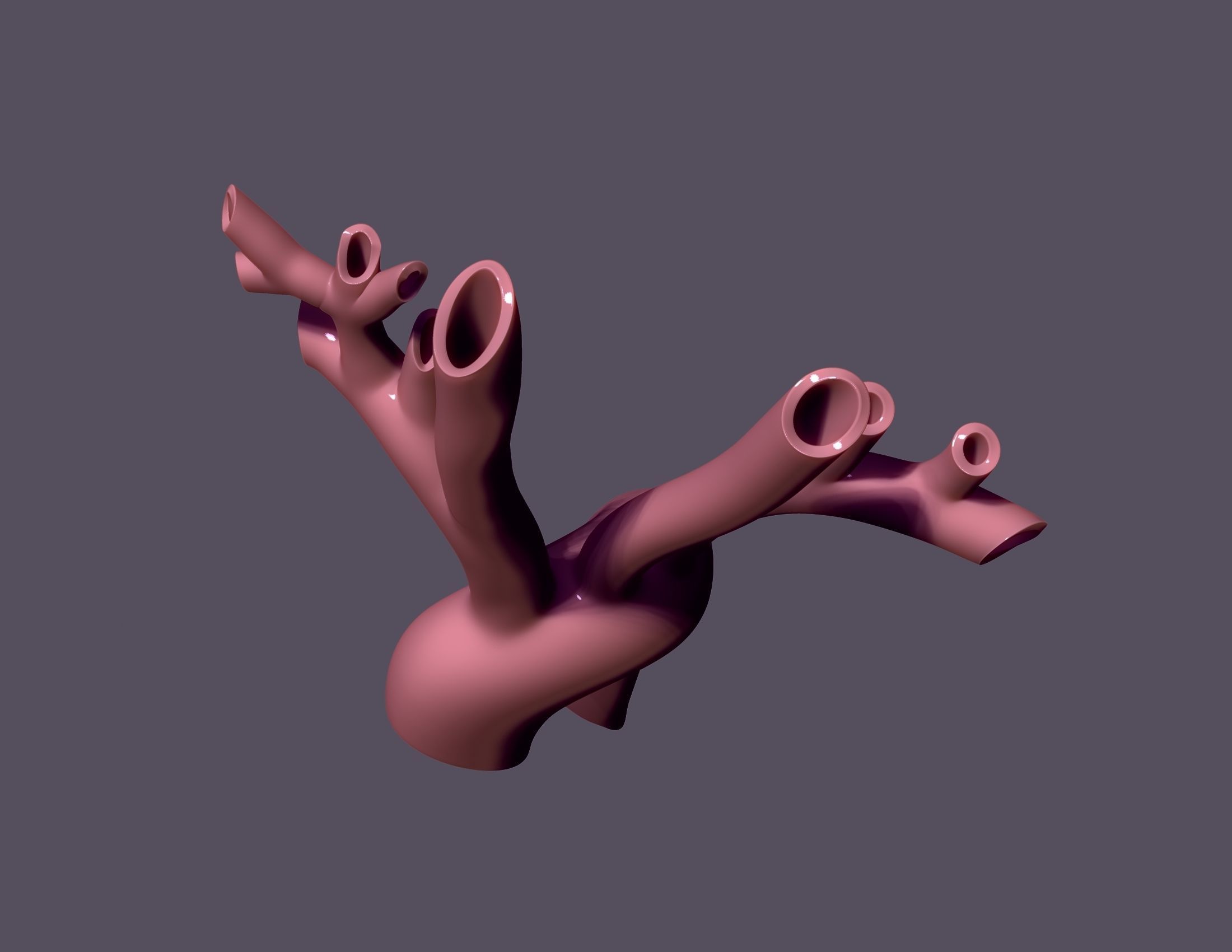 human aorta 3D model 3D printable | CGTrader