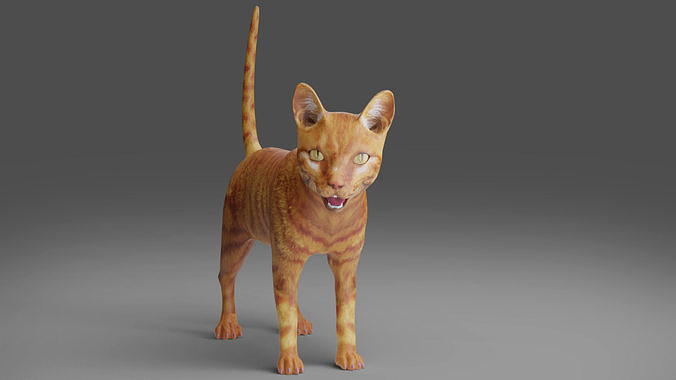 3D model Cat Yellow V3 Rigged VR / AR / low-poly | CGTrader
