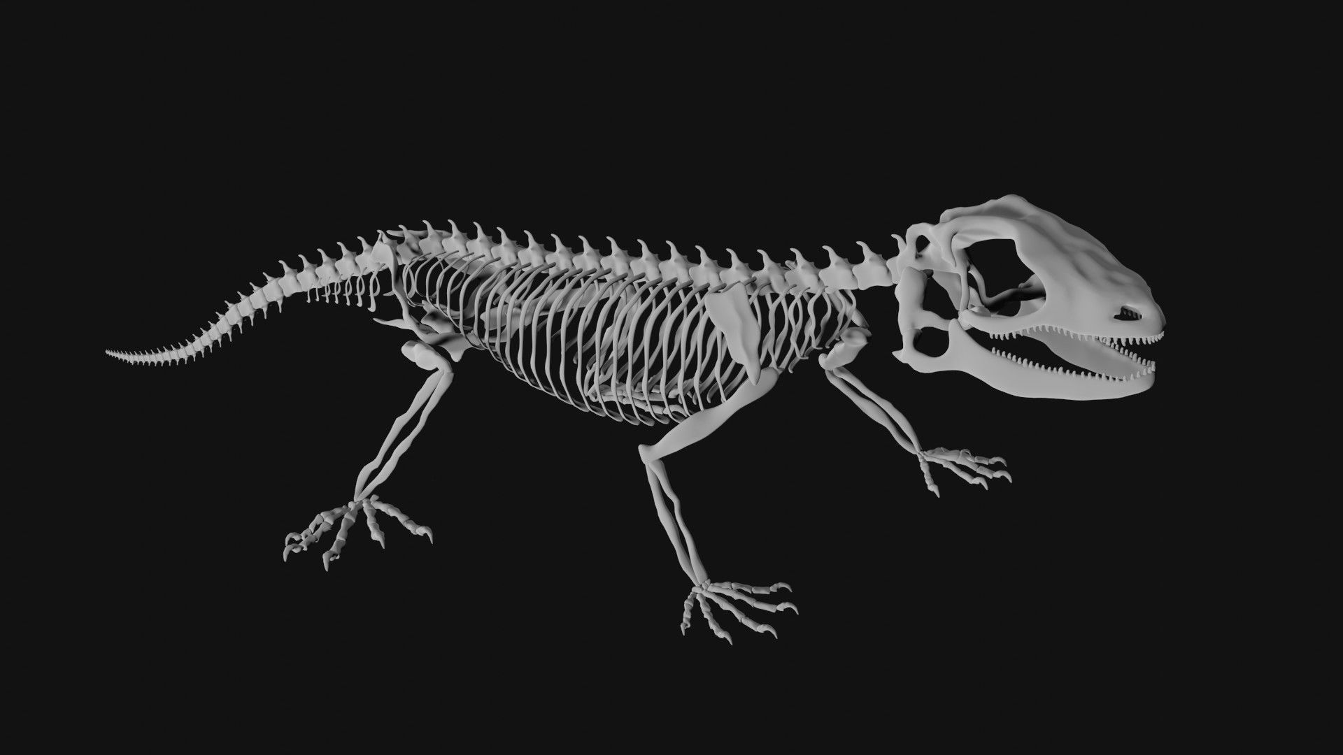 Lizard skeleton 3D model | CGTrader