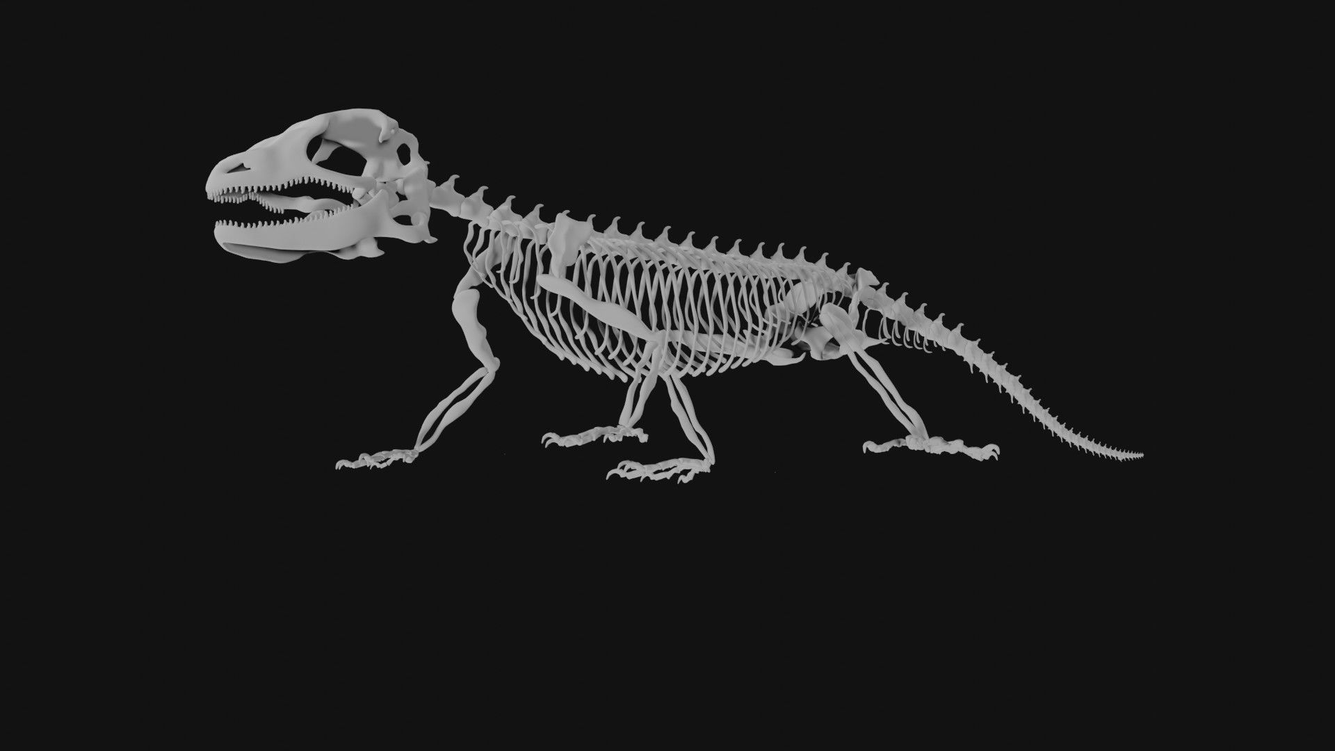Lizard skeleton 3D model | CGTrader