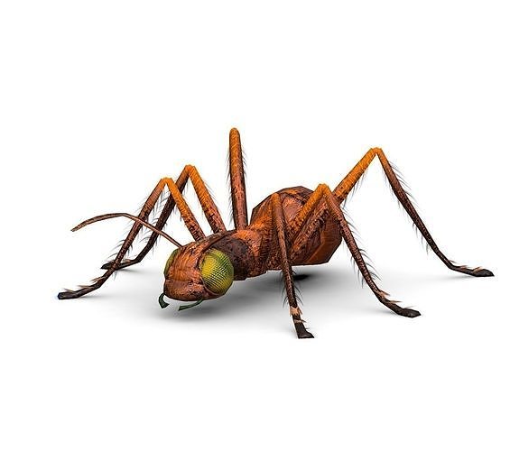 3D model LowPoly Giant Crimson Ant VR / AR / low-poly | CGTrader