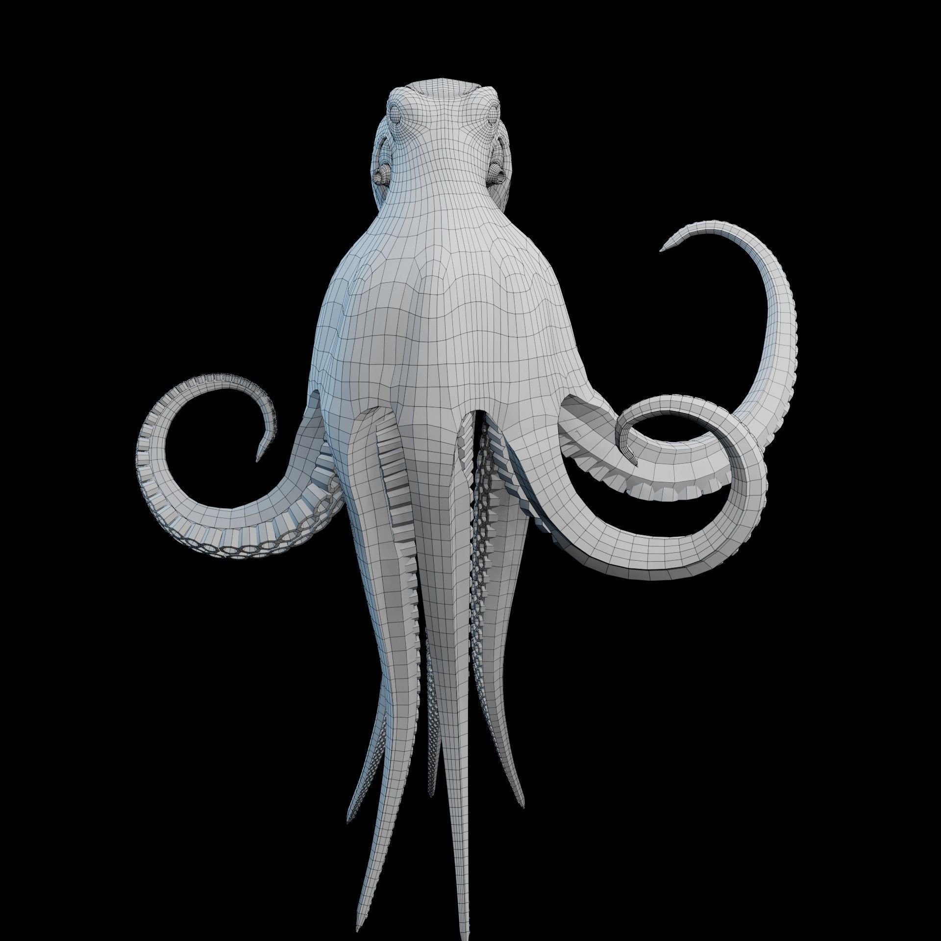 3D model Animated Octopus VR / AR / low-poly | CGTrader