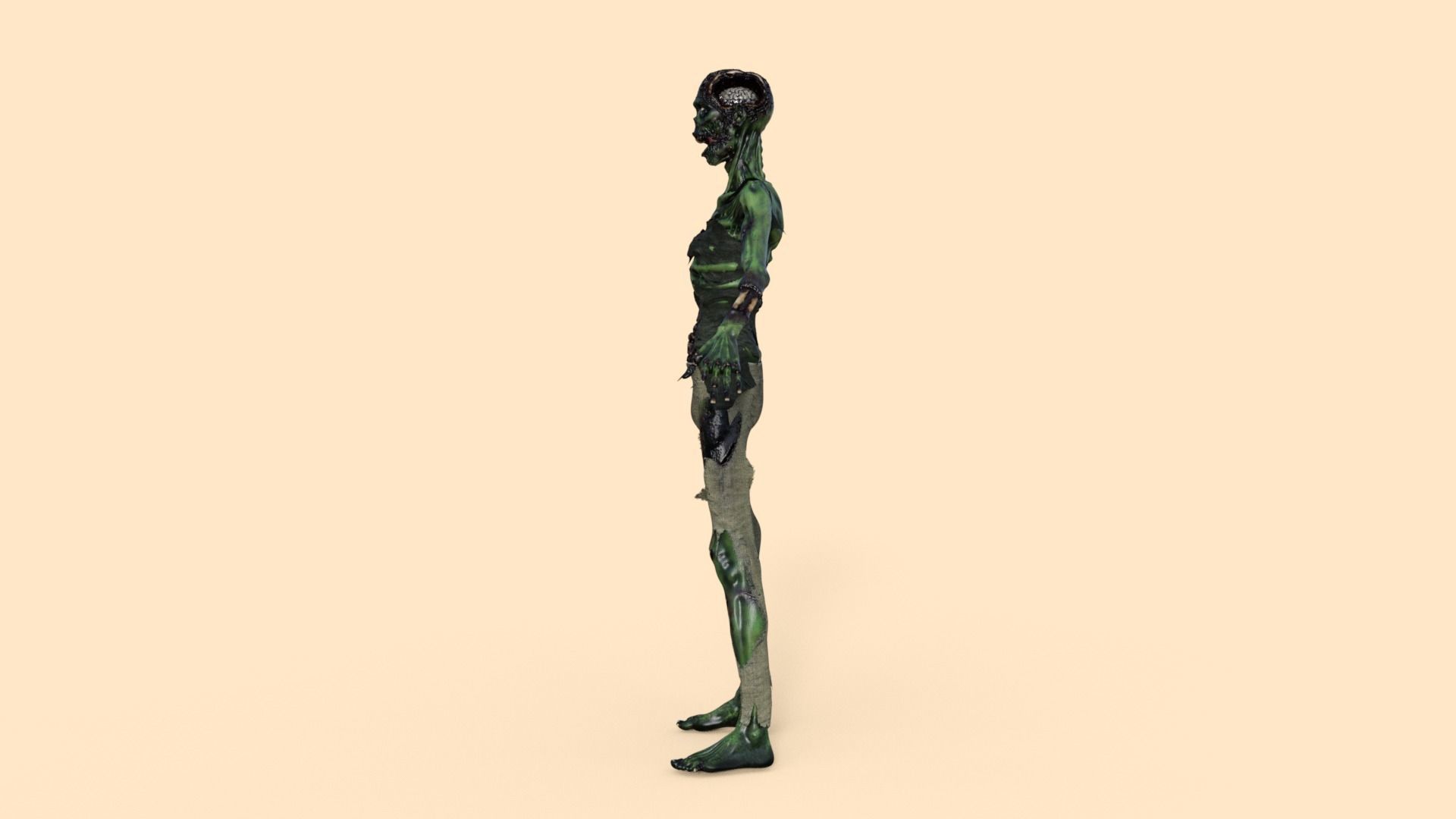 Scary Zombie Skeleton Rigged 3D model rigged | CGTrader