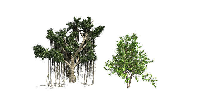 River Birch - Chinese Banyan Tree Bundle 3D Model Collection VR / AR ...