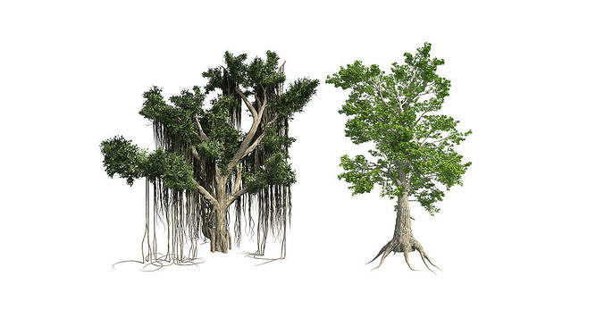 Sass Afras - Chinese Banyan Tree Bundle 3D Model Collection | CGTrader