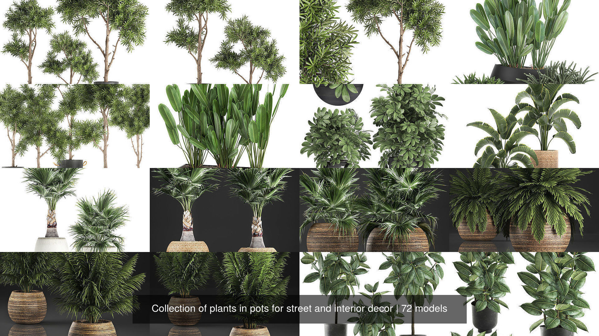 Collection of plants in pots for street and interior decor | CGTrader