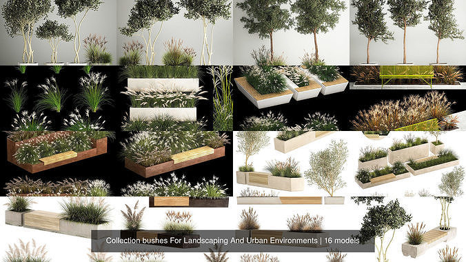 Collection bushes For Landscaping And Urban Environments | CGTrader