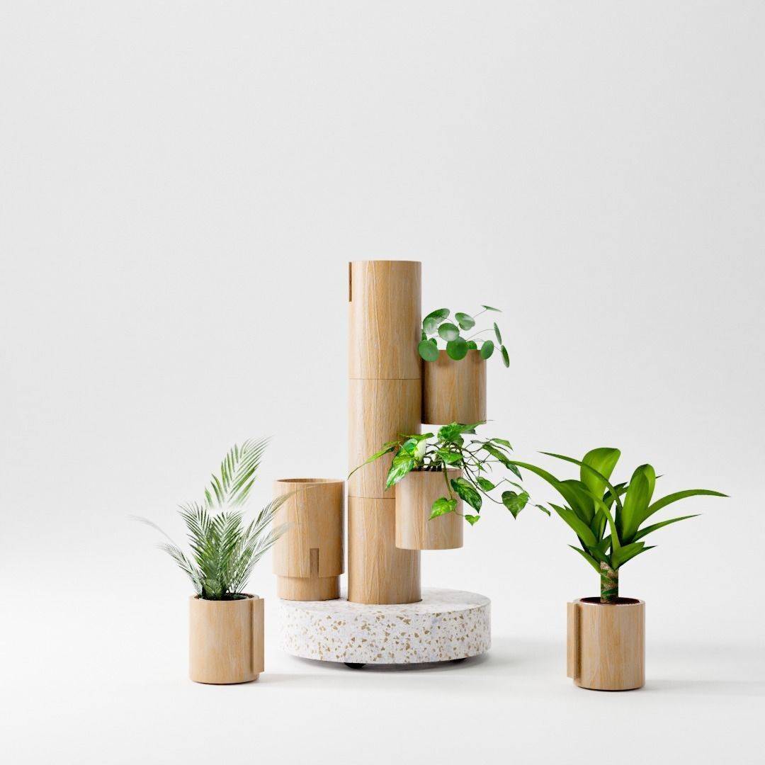 Plant Bamboo Rack 3D model rigged | CGTrader