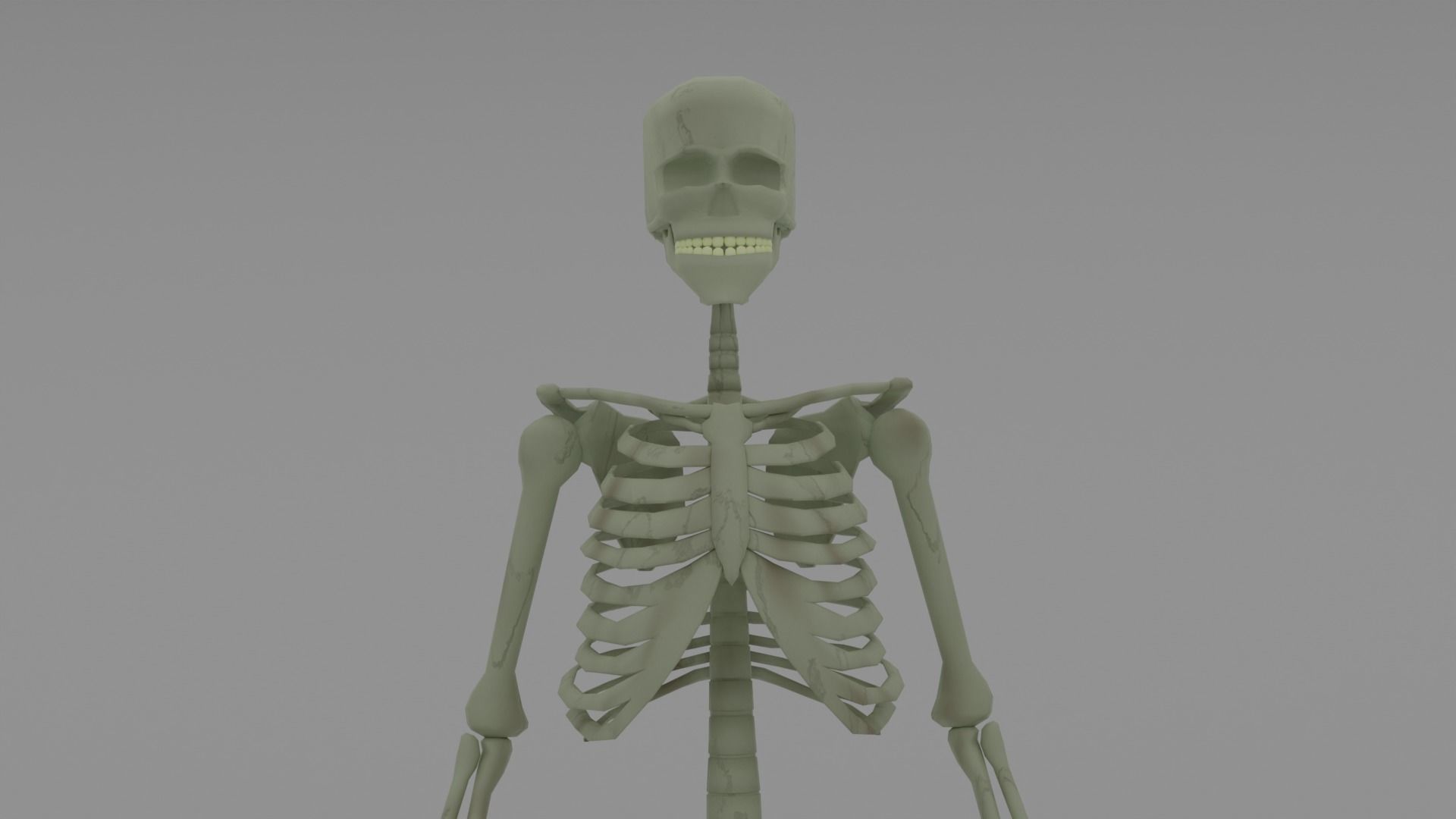 Human Skeleton for Blender 3D model | CGTrader