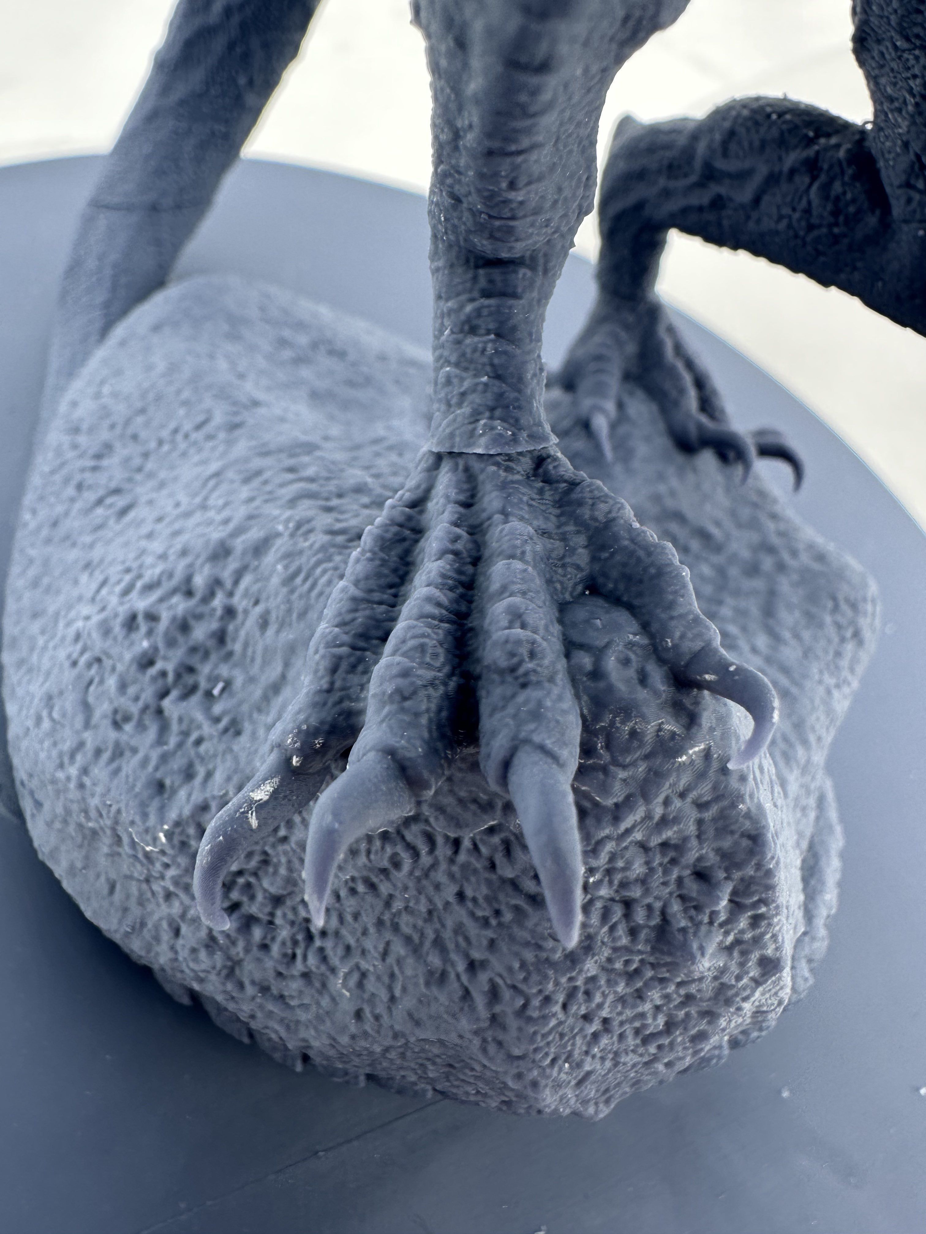 Vhagar House of the Dragon 3D model 3D printable | CGTrader