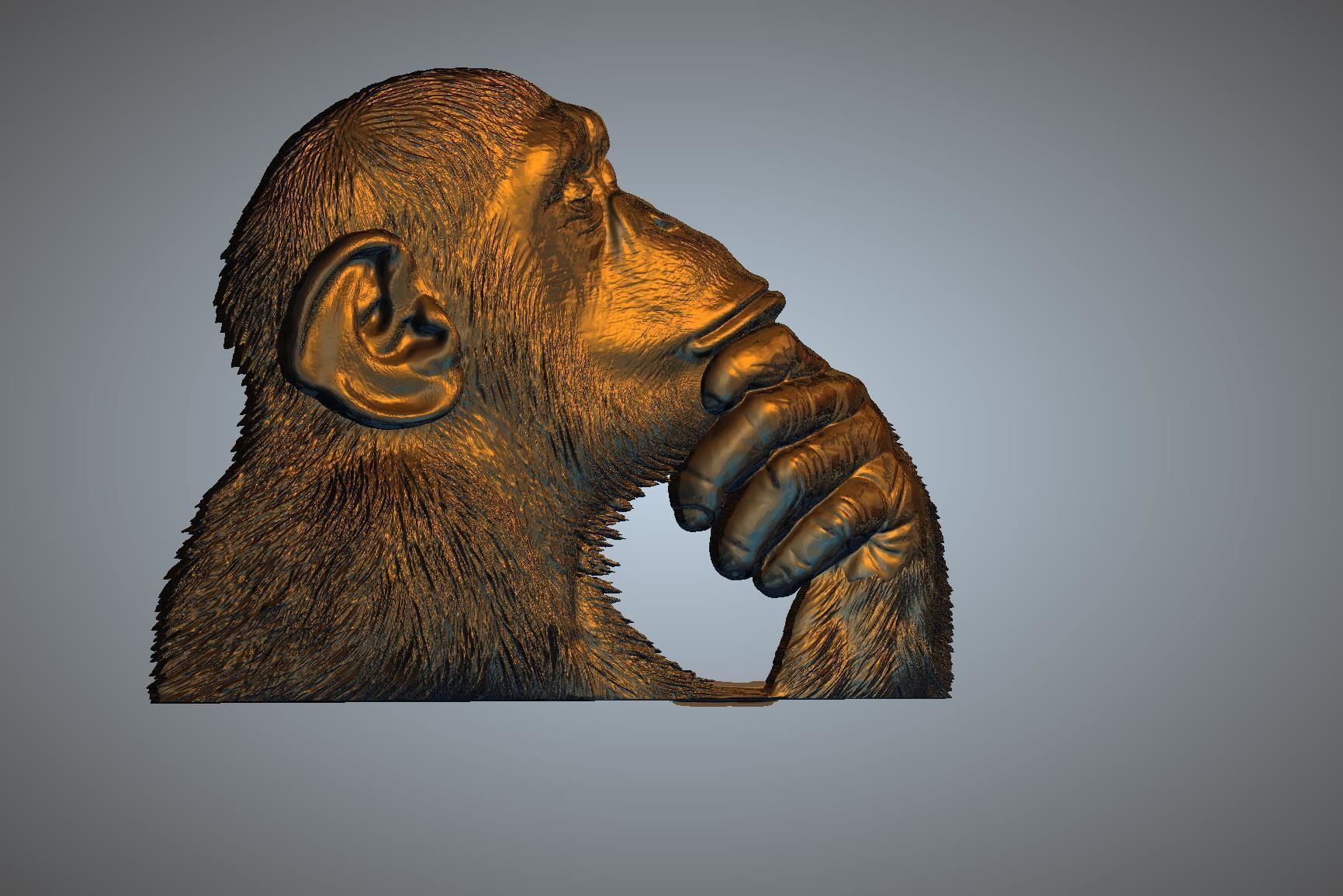 CHIMPANJI ANIMAL 3D model 3D printable | CGTrader