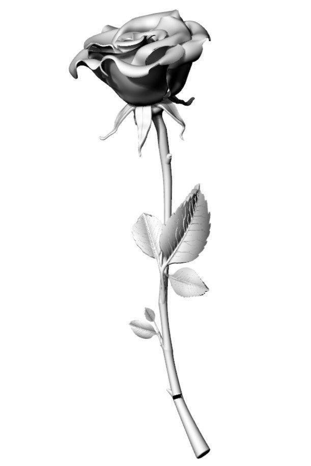 Rose Stem 3D model | CGTrader