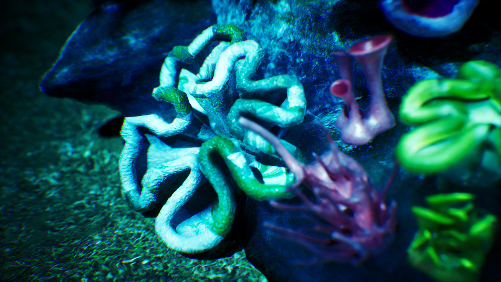 3D model Coral Props 40 Assets VR / AR / low-poly | CGTrader