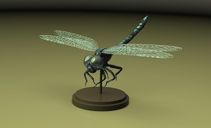 The DragonFly 3D model 3D printable | CGTrader