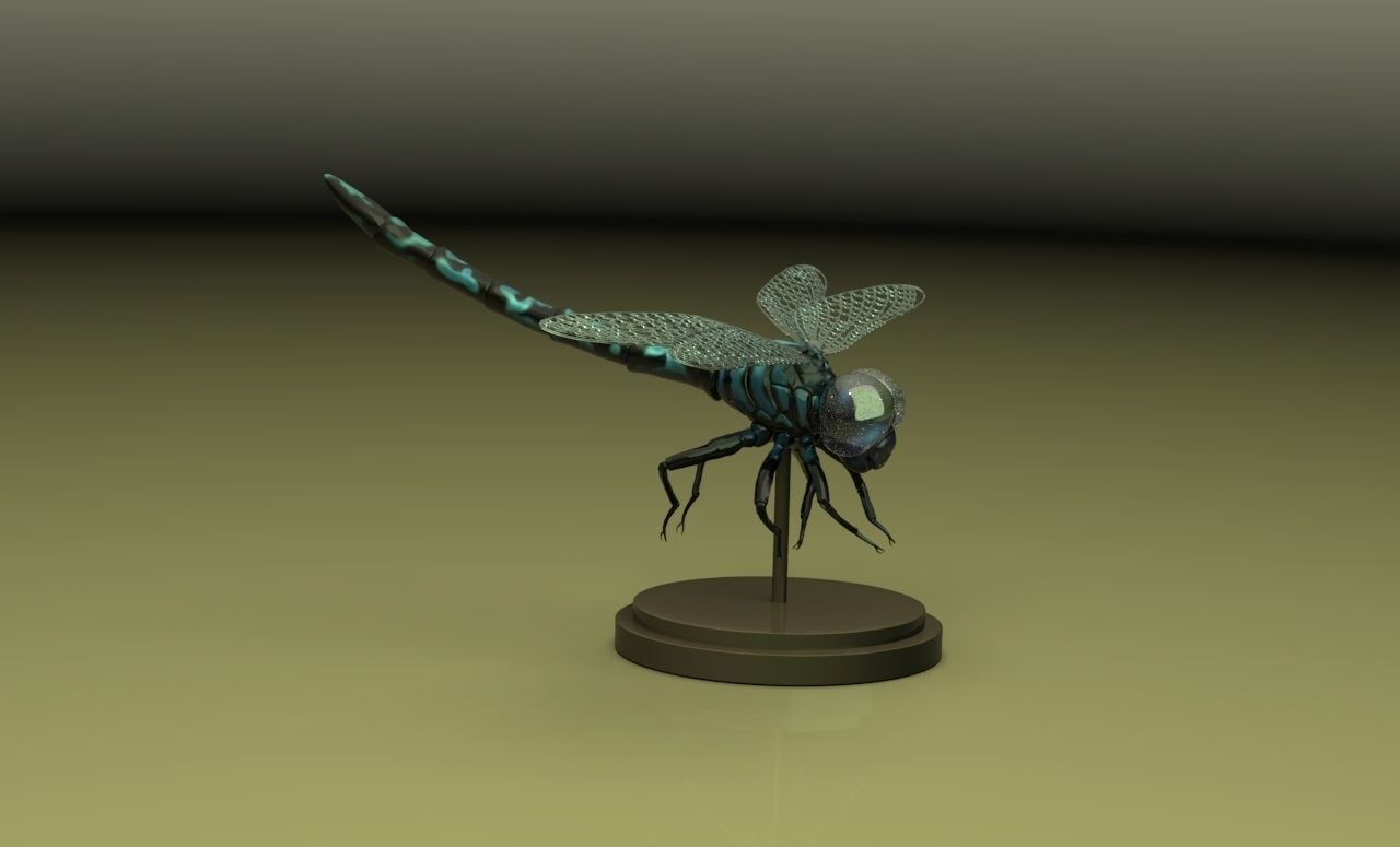 The DragonFly 3D model 3D printable | CGTrader