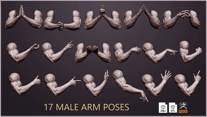 17 male arm poses 3D model | CGTrader