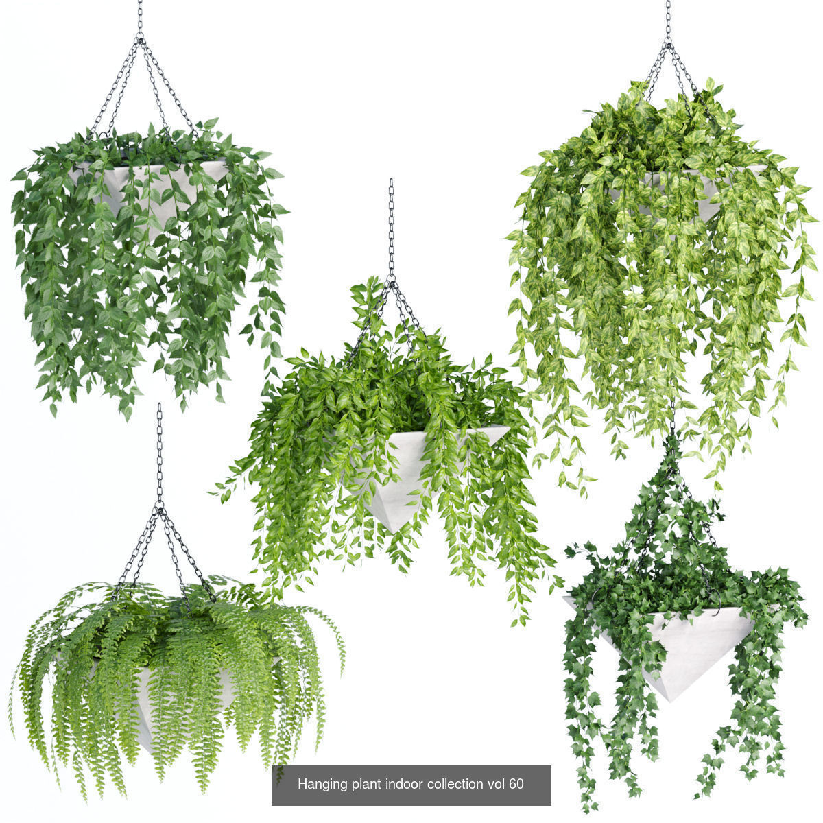 Hanging plants indoor collection 3D Models | CGTrader