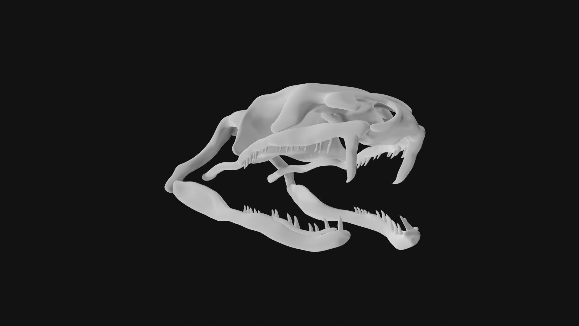 Snake skull 3D model | CGTrader