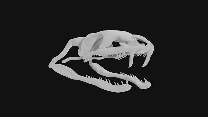 Snake skull 3D model | CGTrader