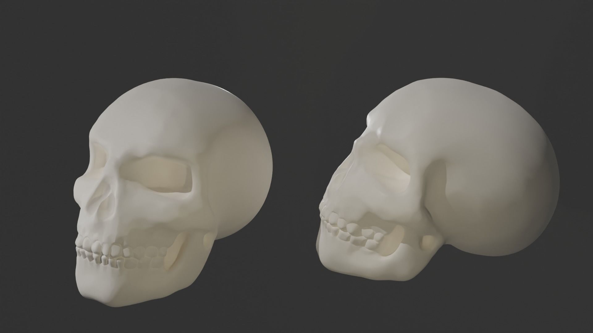 3D model Human Skull VR / AR / low-poly | CGTrader