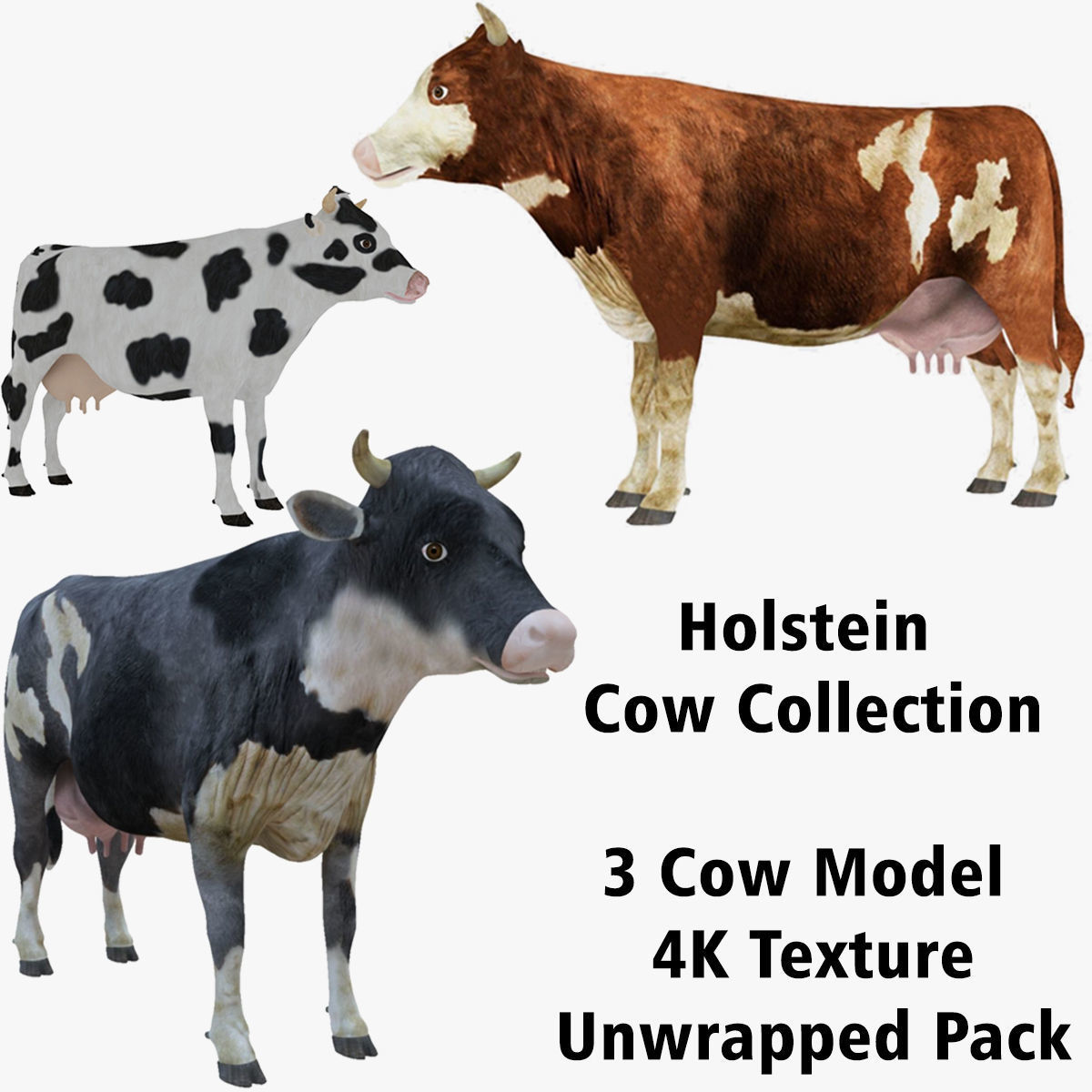 Low Poly Cow Collection - 3 Cow Models - 4K - Unwrapped VR / AR / low-poly | CGTrader