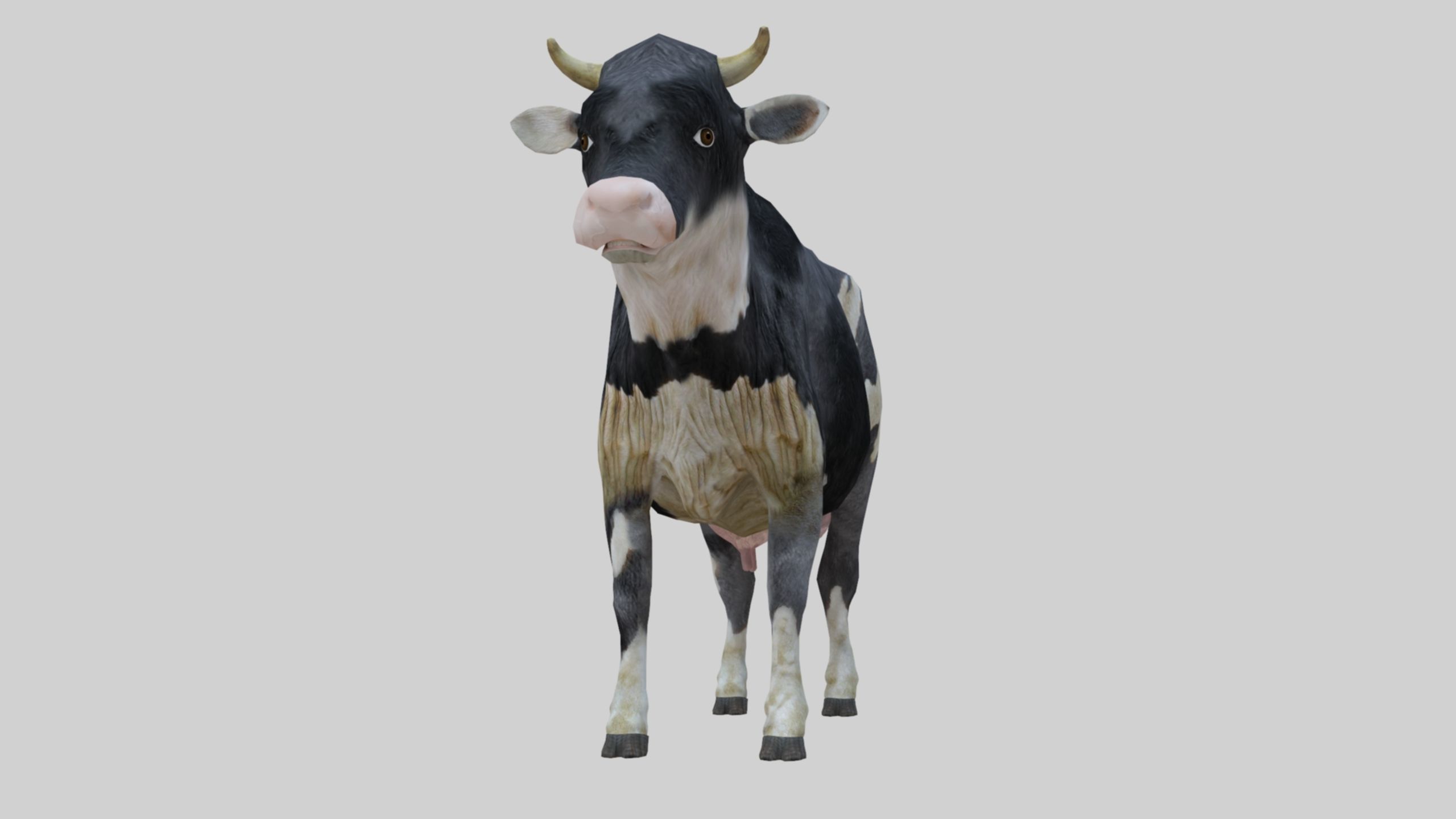 Low Poly Cow Collection - 3 Cow Models - 4K - Unwrapped VR / AR / low ...